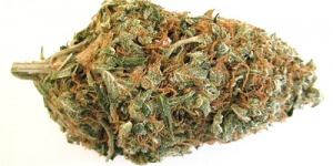 25 Best Wake and Bake Cannabis Strains – The Chill Bud