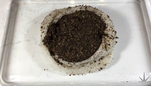 How To Water Cure Already Vaporized Bud (AVB) – The Chill Bud