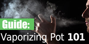 Most Expensive Marijuana Strains in the World – The Chill Bud