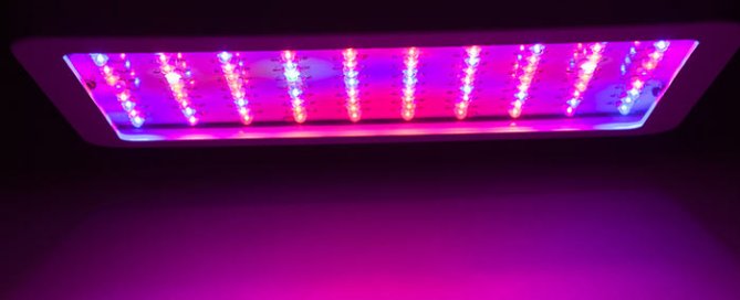 The Best LED Grow Lights for Extraordinary Cannabis – The Chill Bud